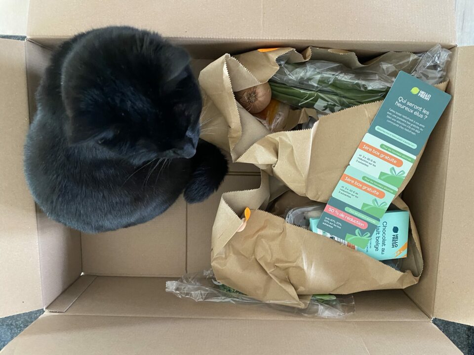 J'ai testé la box repas HelloFresh : mon avis - littlegreenbee